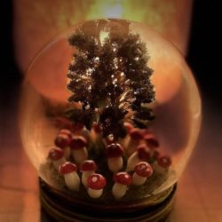 Leomund’s Tiny Hut 5e [7 Ways To Use The DnD Spell, DM Tips, Rules ...